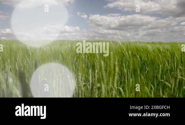 Sky rays Stock Videos & Footage - HD and 4K Video Clips - Alamy