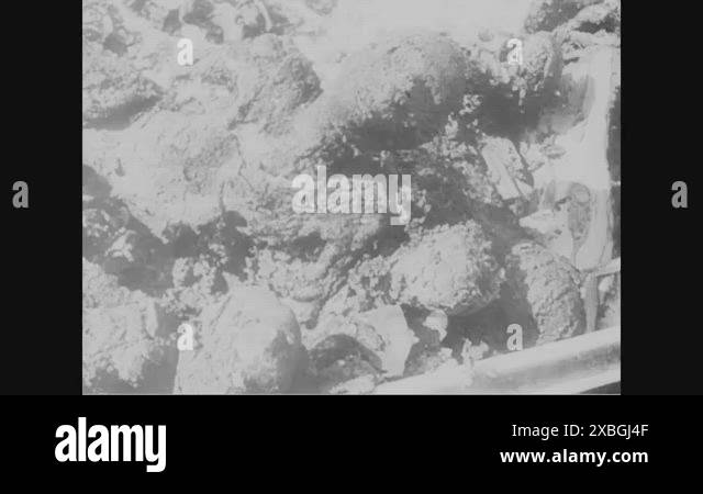 Dwight Eisenhower and General Patton force captured high ranking Nazi ...