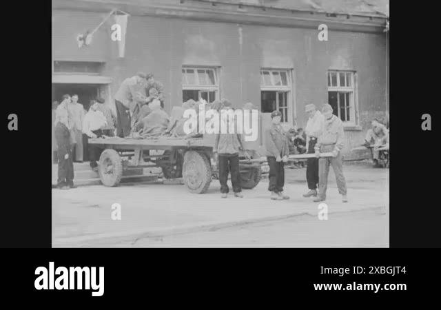 Piles of corpses a the Dachau concentration camp were buried by fellow ...
