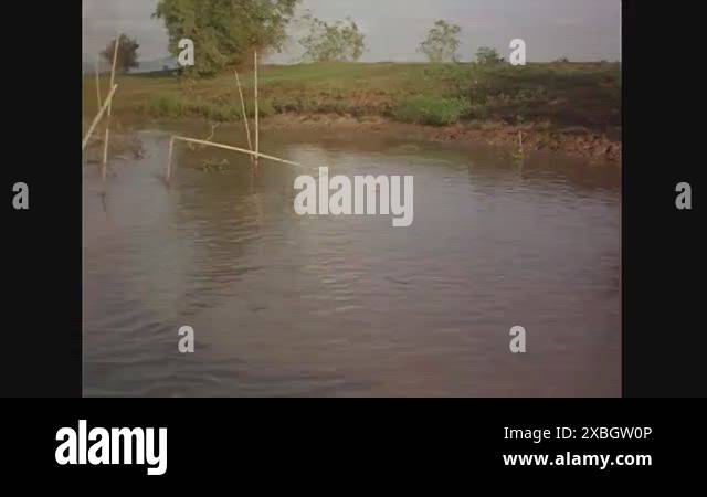 1969 - US Marines find the bodies of dead Viet Cong lying on a ...