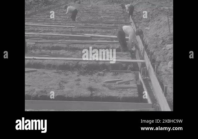 1920s - Dutch construction workers assemble braiding for a foundation ...