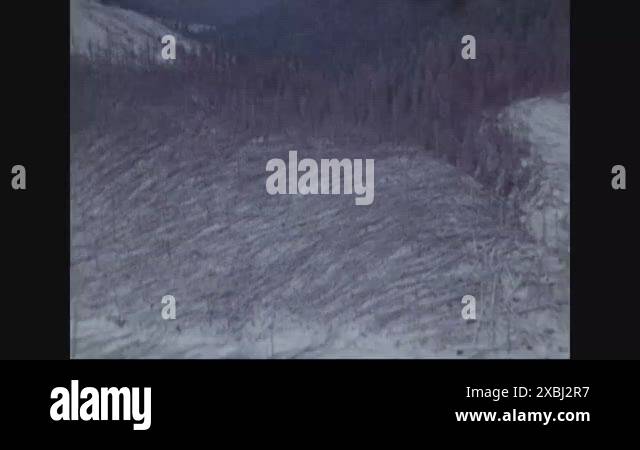 1980s - An aerial view shows a decimated forest near Mount Saint Helens ...