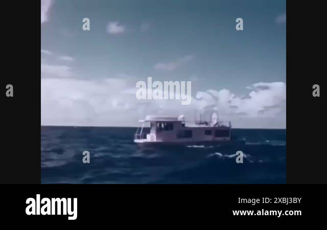 1973 - Shark retinas are studied under a regular and an electron ...