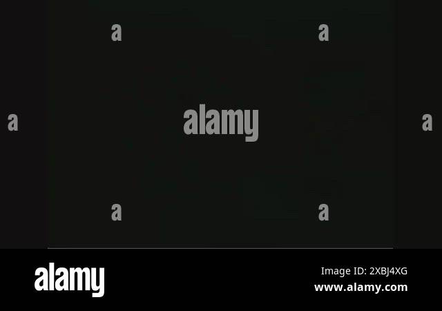 Cross pollenization Stock Videos & Footage - HD and 4K Video Clips - Alamy