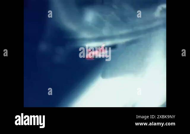 Firebee Stock Videos & Footage - HD and 4K Video Clips - Alamy