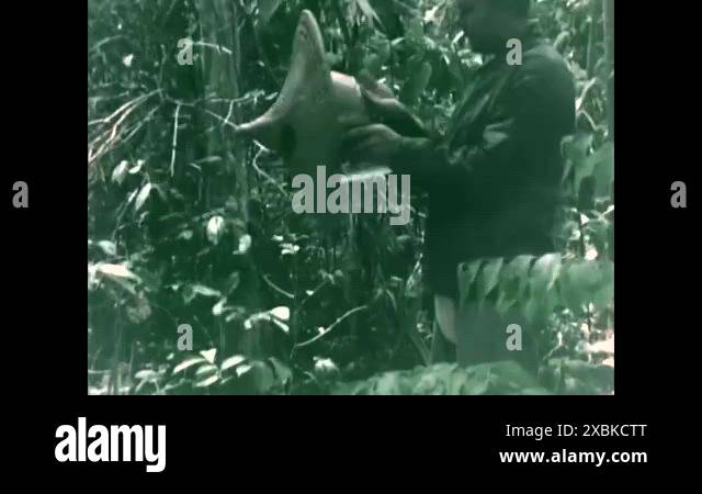 1966 - An instructor at the US Army Jungle Training school disguises ...