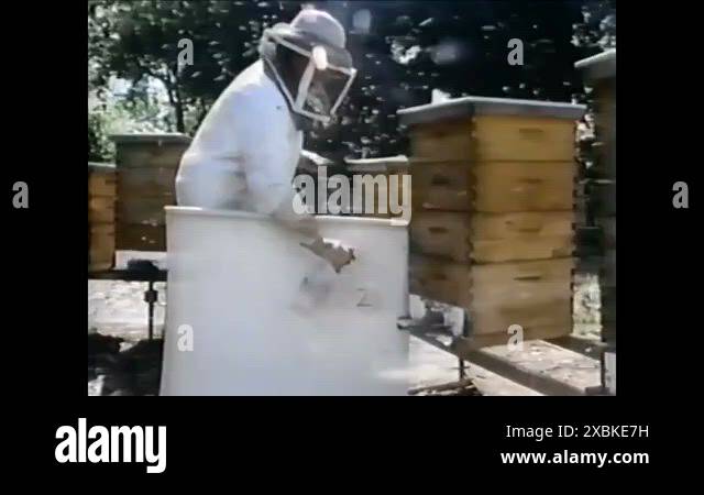 1985 - An agricultural scientists conducts a stinging test and notes ... 1985 - An agricultural scientists conducts a stinging test and notes ...