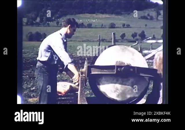 1953 - A farmer writes to his college girlfriend about all the new ...