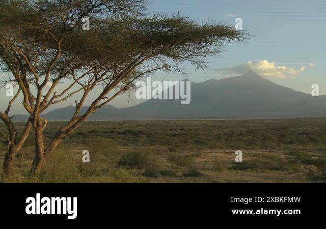 Meru park Stock Videos & Footage - HD and 4K Video Clips - Alamy