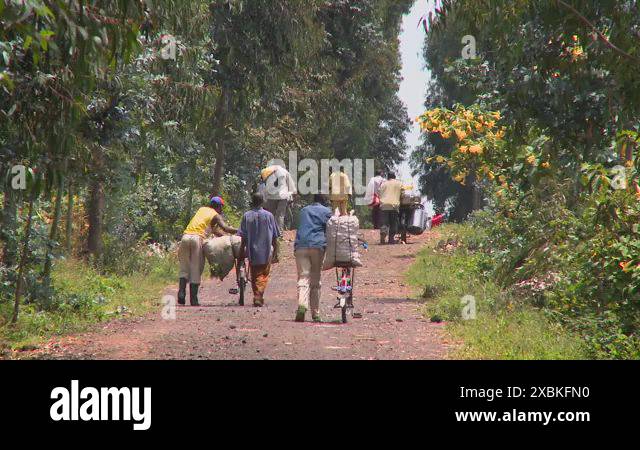 Loaded bicycles Stock Videos & Footage - HD and 4K Video Clips - Alamy