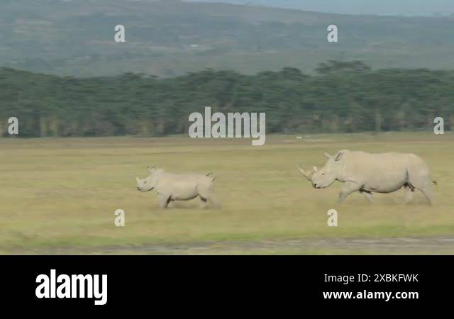 Cross plain Stock Videos & Footage - HD and 4K Video Clips - Alamy