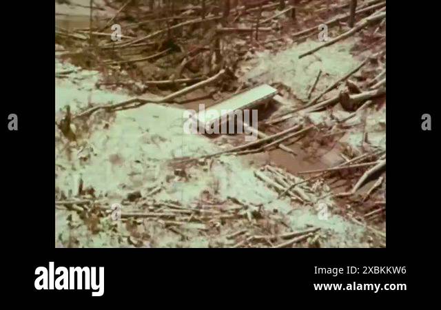 Ed Gilliland of the United States Forest Service shows the remains of ...