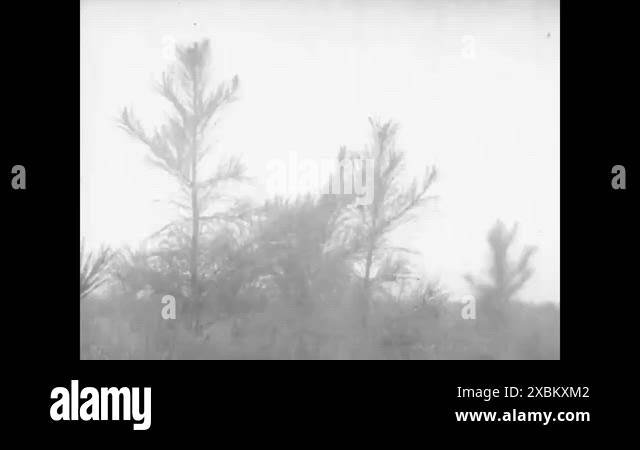 A wounded guerrilla reads a flyer in the rain in a forest and considers ...