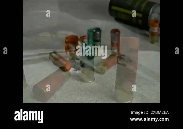 Birdshot, buckshot shot shells and a tactical rifled slug are shown at ...