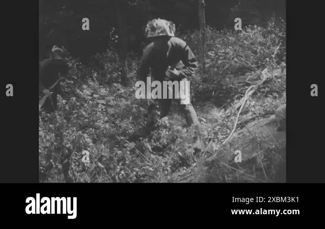 Cadets attend a class outdoors and refer to a map in a forest during ...