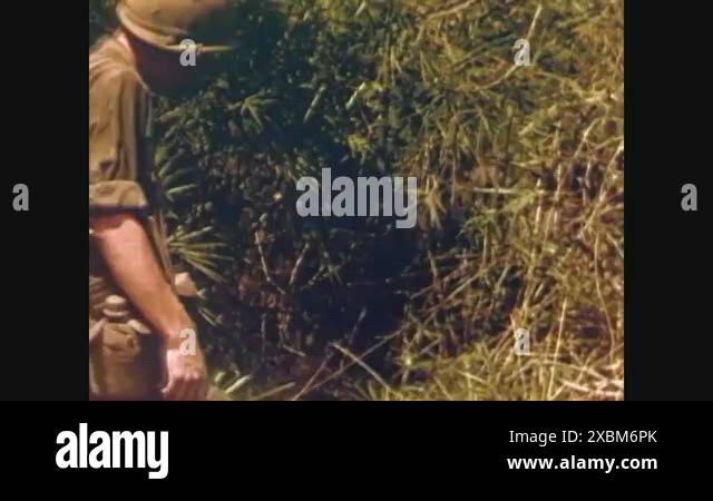 1969 - American soldiers struggle through a swamp in Vietnam Stock ...