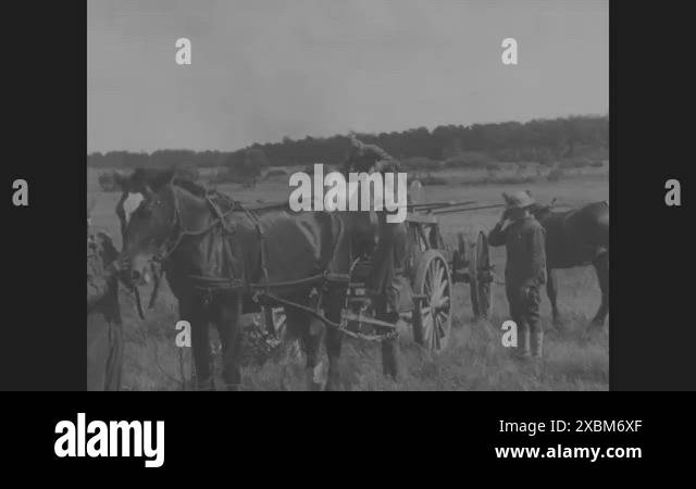 307th engineers Stock Videos & Footage - HD and 4K Video Clips - Alamy