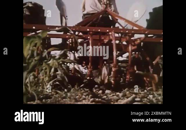 1953 - A farmer works acreage with a Ford Golden Jubilee tractor, a ...