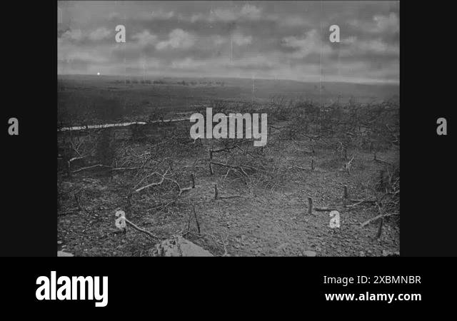 Gallows Stock Videos & Footage - HD and 4K Video Clips - Alamy
