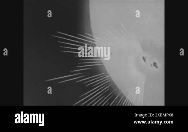 1962 - Scientists work in a thermonuclear power plant, and Naval men ...