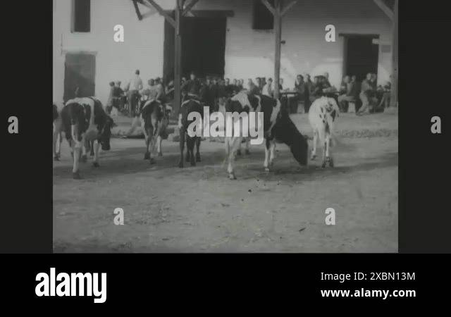 Farming during world war one Stock Videos & Footage - HD and 4K Video ...