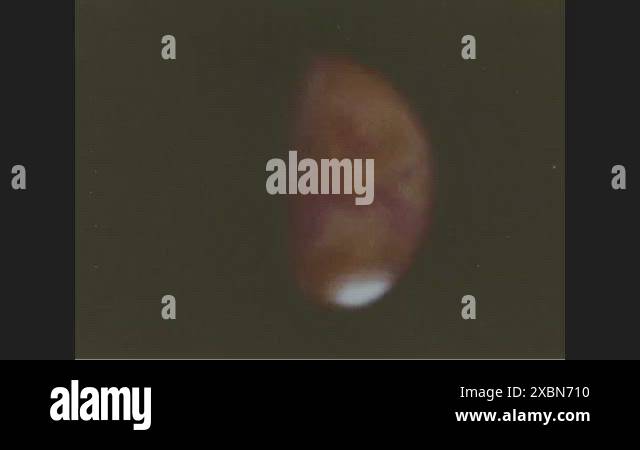 1970s - 19th Century astronomers Giovanni Schiaparelli and Percival ...