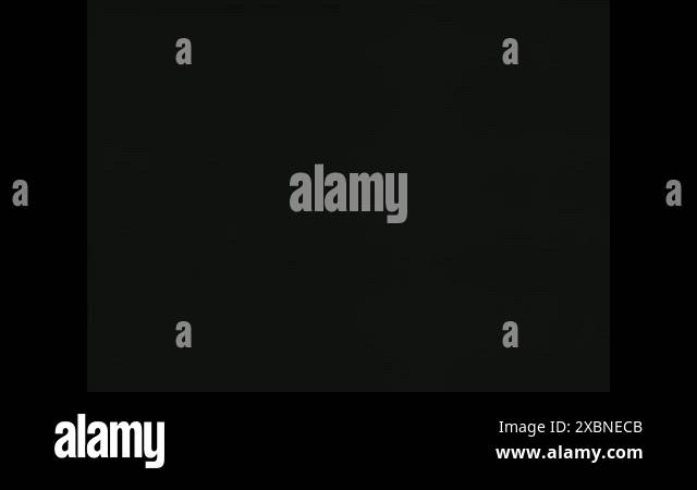 In December 1964, Captain Roger Donlan of the US Army receives the ...