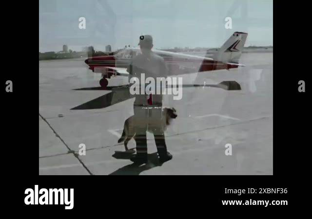 Chopper and his handler Paul Thomas search a private aircraft and its ...