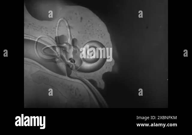 Textual labeling Stock Videos & Footage - HD and 4K Video Clips - Alamy