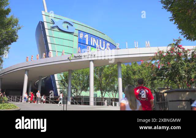 Big crowd atlanta georgia Stock Videos & Footage - HD and 4K Video ...