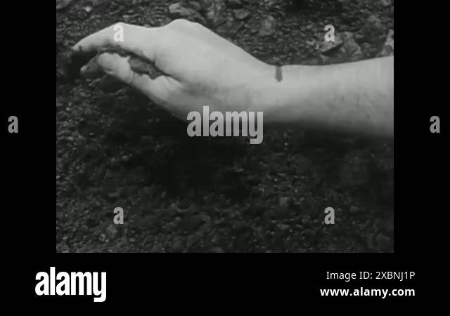 Soil from around the world used in laboratories early on in the 1950s ...