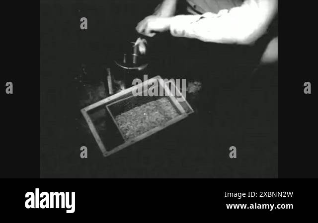 1952 - White mice and monkeys are shown in cages in the Wright Air ...