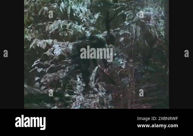 1919 - General John Pershing salutes as he passes King George and Queen ...