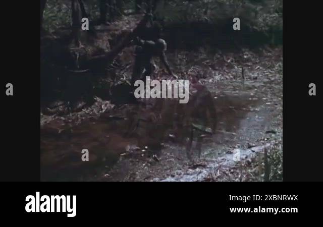 King george family tree Stock Videos & Footage - HD and 4K Video Clips ...