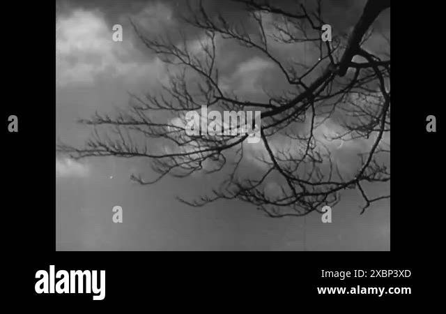 Pilgrims company Stock Videos & Footage - HD and 4K Video Clips - Alamy