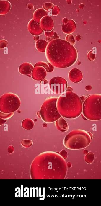 Vertical video - flowing red blood cells and particles background ...