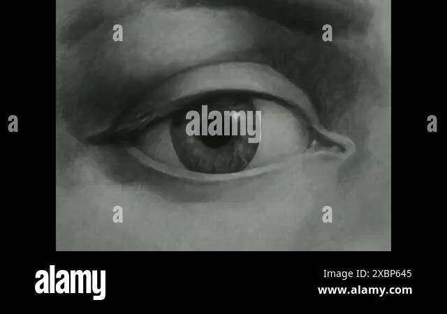 Animation of how the eye functions and explanation of the meaning of ...