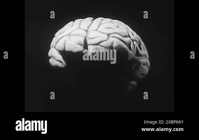 Explanation of the function of the brain in the 1950s Stock Video ...