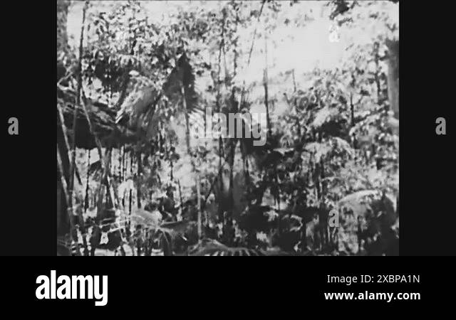 Officers in the People's Army of Vietnam look over maps and strategize ...