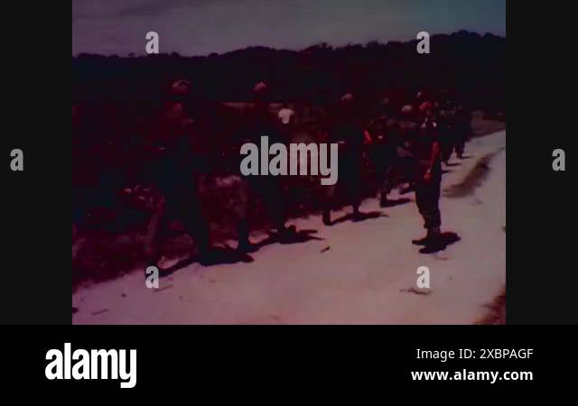 A brigadier general talks about training for guerrilla warfare ...