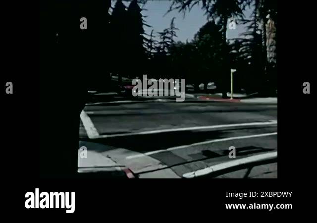 Knowing traffic light rules is vitally important to traffic safety ...