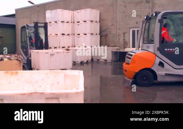 Fish farming containers Stock Videos & Footage - HD and 4K Video Clips ...