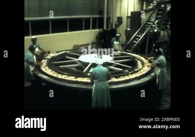 Women factory employees prepare potatoes for processing in 1960, for ...