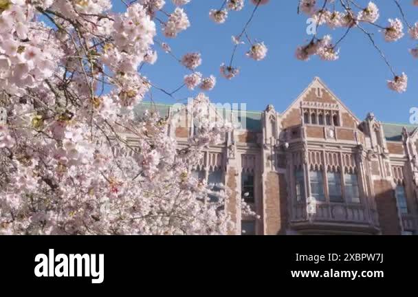 Historic building on campus Stock Videos & Footage - HD and 4K Video ...