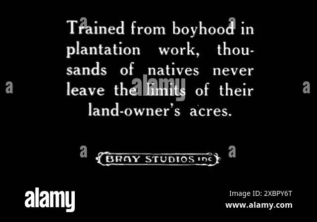 Scenes from banana plantations in Fiji during the 1910s show native ...