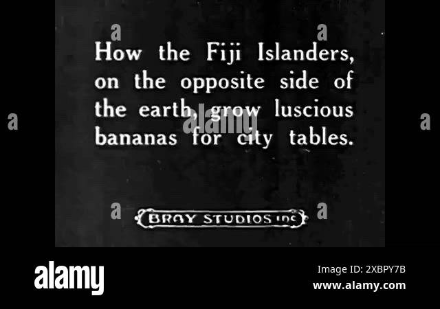 Scenes from banana plantations in Fiji during the 1910s show native ...