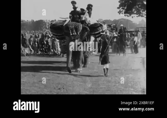 Howdah carriage Stock Videos & Footage - HD and 4K Video Clips - Alamy