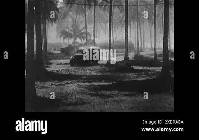 Malaria devastates American units in the pacific campaign of World War ...
