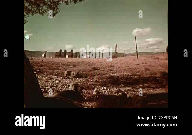 Horses charge across a landscape and then the Ford Mustang appears in ...