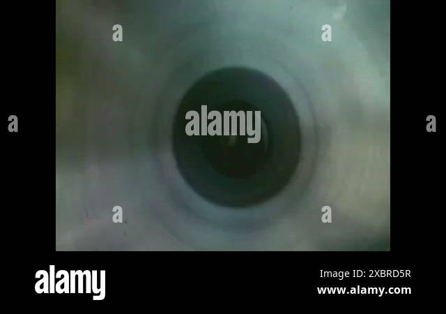 As the lumber movement exploded in the early 20th century, so did the ...